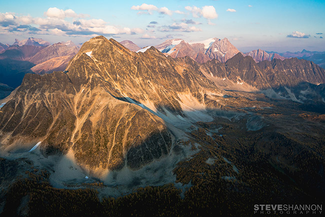 Jumbo Wild | The Purcells